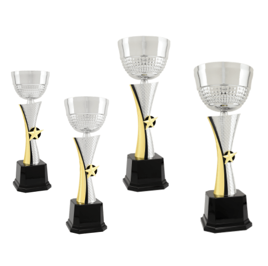 Silver/Gold Textured Metal Cups - Focused Laser Works